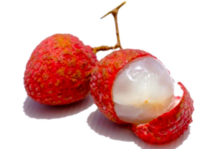 Lichia - Ali mente se