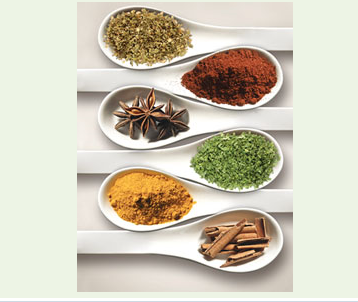 Temperos para seus pratos - Alimentese